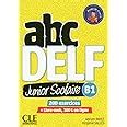 Abc Delf Junior Scolaire Niveau B Livre Dvd Livre Web Payet