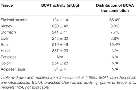 Frontiers Branched Chain Amino Acids Catabolism In Skeletal Muscle