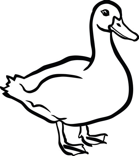 Duckling Clipart