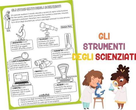 Schede Didattiche Di Scienze Maestra Mary