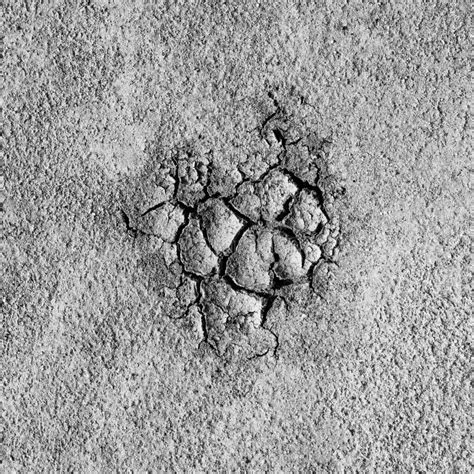 Modelo De Grietas En La Arena En Ausencia De La Humedad Foto De Archivo