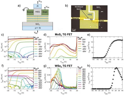 Dualgated MoS2 And WSe2 FET Characteristics A Schematic And B