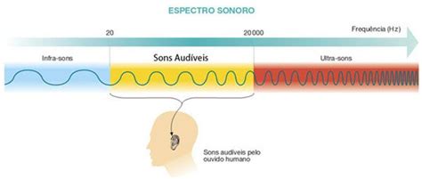 Espectro e nível sonoro Ondas sonoras Tipos de ondas Ondas