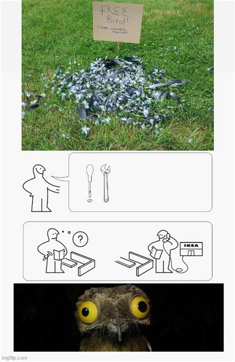 Image Tagged In Ikea Instruction Gross Imgflip