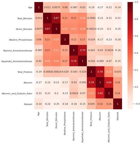 figure 2 from detection of nonalcoholic fatty liver disease using deep learning algorithms