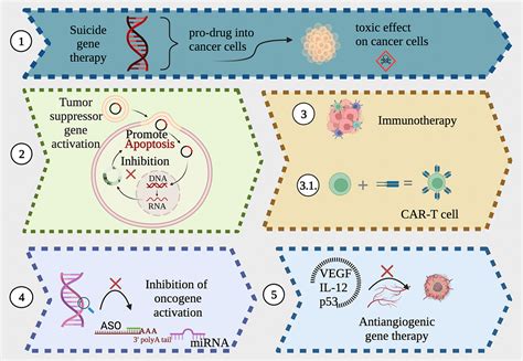 Gene therapy in cancer CesurErgün The Journal of Gene Medicine
