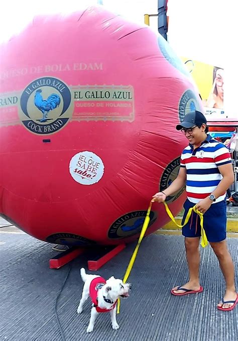 Primera Feria de Queso de bola llega a Cancún anuncian las fechas La