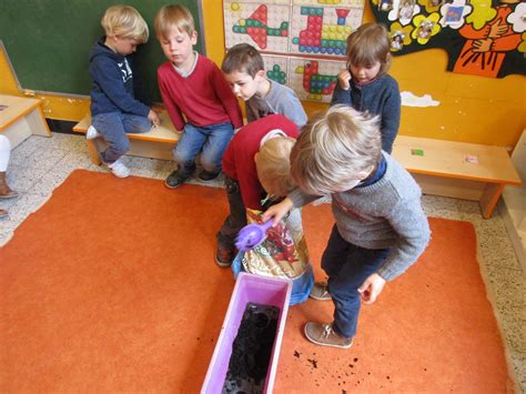 Eerste Kleuterklas Thema Zaaien En Planten