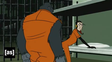 Porn Needed The Venture Brothers Adult Swim Youtube