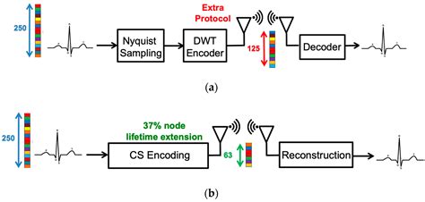 sensors free full text compressed domain ecg based biometric user identification using