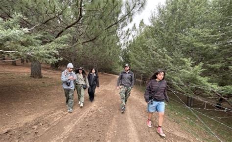La Journée Internationale des Forets Les forêts et lInnovation de