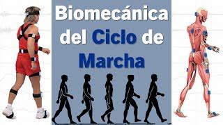 Biomecánica de Tendones y Ligamentos Doovi