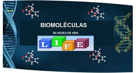 Biomoleculas Qué son y Tipos de Biomoleculas Bioelementos