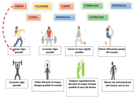 Vamos Todos a Aprender Ed Física 5 3 2020