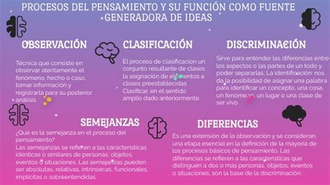 Procesos Del Pensamiento