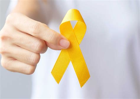Maio Amarelo 2023 incentiva um trânsito mais seguro veja ações