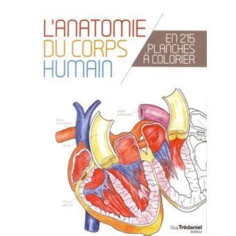 L Anatomie Du Corps Humain En Planches Colorier Broch