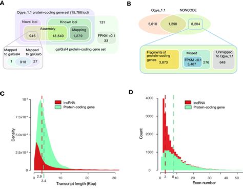 A A Venn Diagram Showing The Number Of Protein Coding Genes In The
