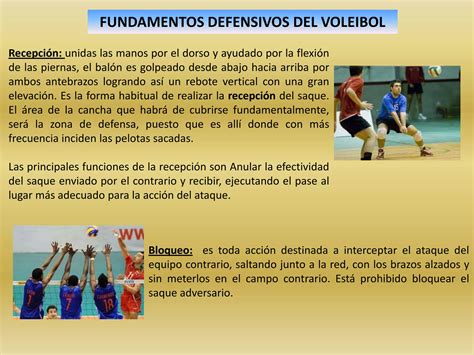 Cuáles son los fundamentos defensivos del voleibol Haras Dadinco