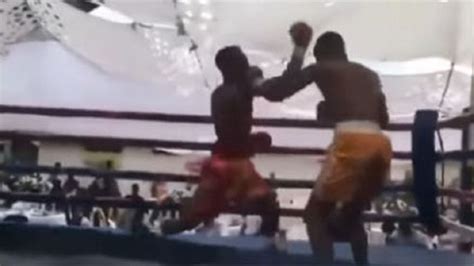 Boxeador morre após sofrer nocaute em luta veja vídeo Mato Grosso