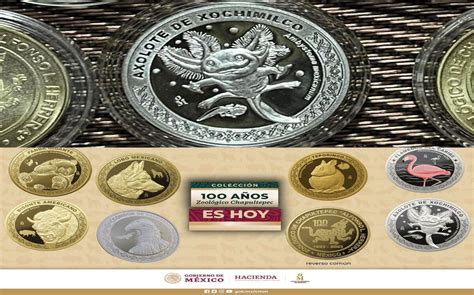 La colección de monedas por los 100 años del Zoológico de Chapultepec