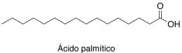 Cido Palm Tico Uniiquim Unam