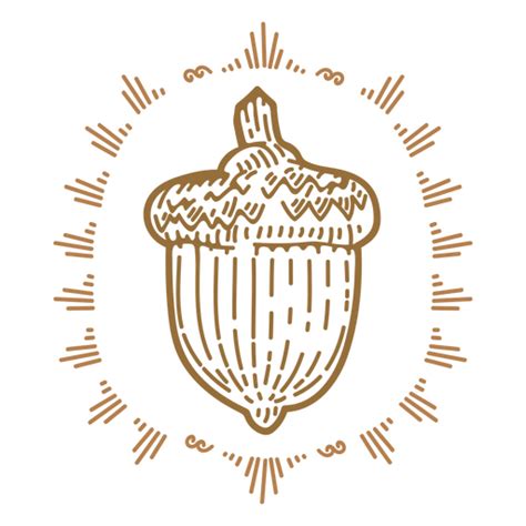 Dise O Png Y Svg De Ilustraci N De Bellota Dibujada A Mano Para Camisetas