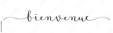 Calligraphie Vecteur Noir BIENVENUE Stock Vector Adobe Stock