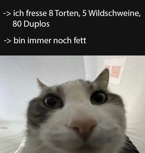 Fühl mich aber positiv 9GAG