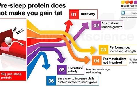 Es malo tomar proteína en la noche Squad Fitness