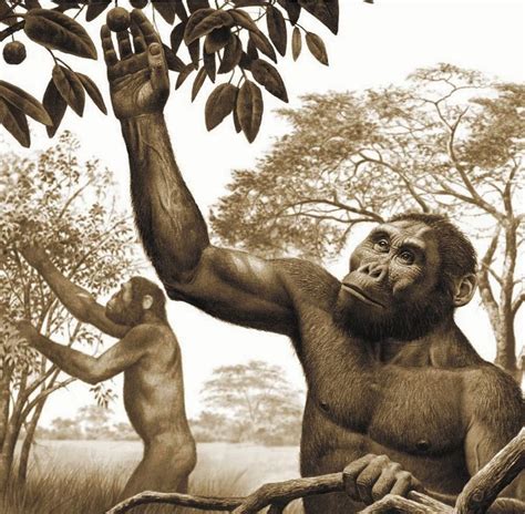 Pin On Evolution And Science Stuff