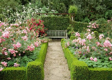 15 Companion Plants For Peonies Perfect Pairs And Enhancing Ideas