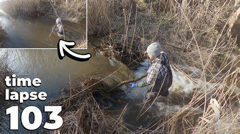 Manual Beaver Dam Removal No Time Lapse Version Youtube