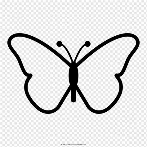Cómo Dibujar Una Mariposa Paso A Paso Dibujo Fácil De Dibujo Simple