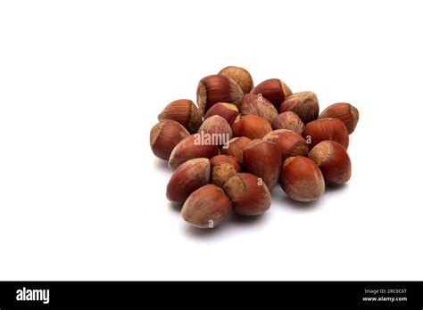 Pile Of Hazelnuts In Close Up On White Background Stock Photo Alamy