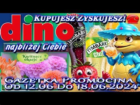 Dino Nowa Gazetka Promocyjna Od Środy 12 Czerwca 2024 Blisko Ciebie