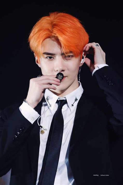 Trash Panda On Twitter Rt Sehunpicture Sehun