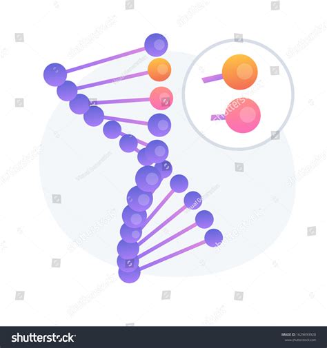 Genome Modification Dna Sequence Alteration Future Stock Vector