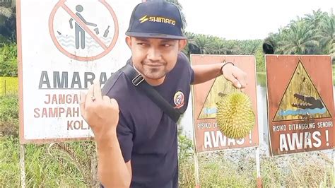 MANCING DI TEMPAT TERLARANG UMPAN BUAH DURIAN MUSANG KING YouTube