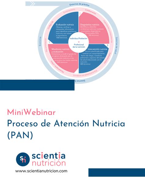 Miniwebinar Proceso De Atenci N Nutricia Pan Scientia Nutricion