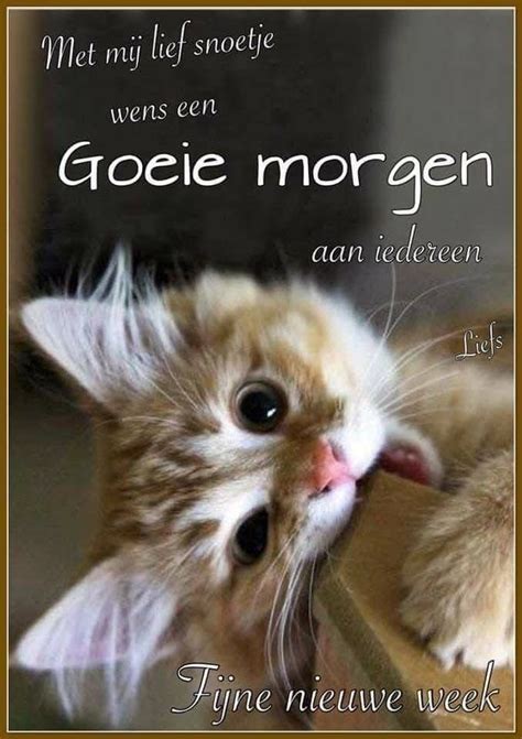 Pin Van Mandy Op Goedemorgencitaten In Goedemorgen Grappig