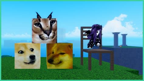 How To Obtain Meme Sea Accessories Gamezebo