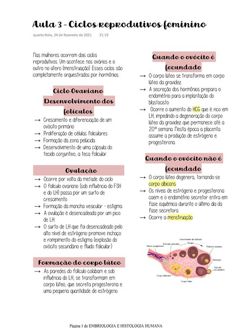 Embriologia Humana Ciclos Reprodutivos Femininos Nas Mulheres