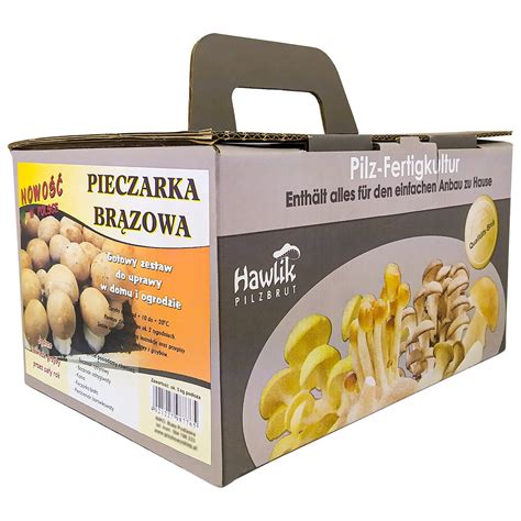 Pieczarka Brązowa Grzybnia gotowe podłoże hodowlane 5 kg