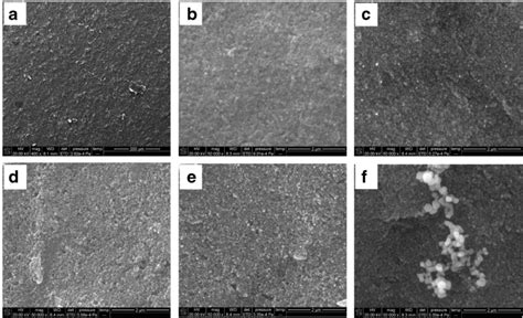 Sem Images Of Different Spces Modified With Various Materials A Bare