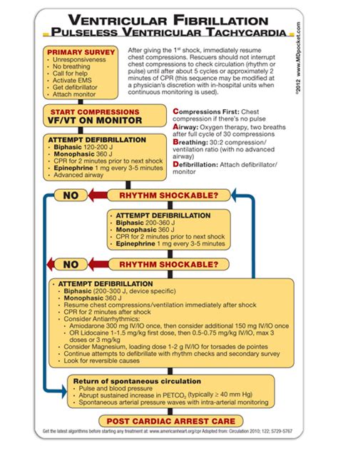 Acls Algorithms Vf Vt