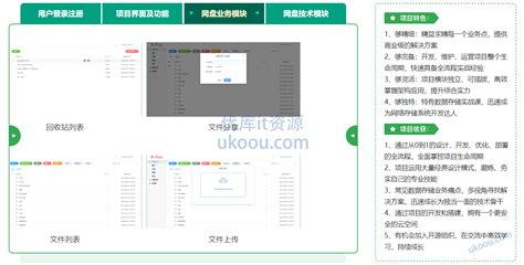 springboot vue3 element plus 打造分布式存储系统「已完结」 优库it资源网