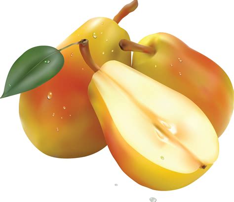 Pear PNG Image PurePNG Free Transparent CC0 PNG Image Library