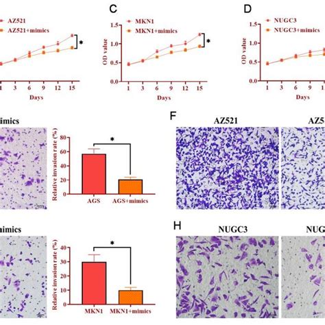 Overexpression Of Mirna Inhibits The Proliferation And Invasion Of