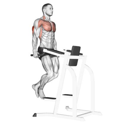 7 Most Effective Tricep Dips To Build Mass And Strength